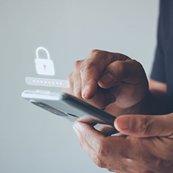 Password Testing Tool | WaFd Bank